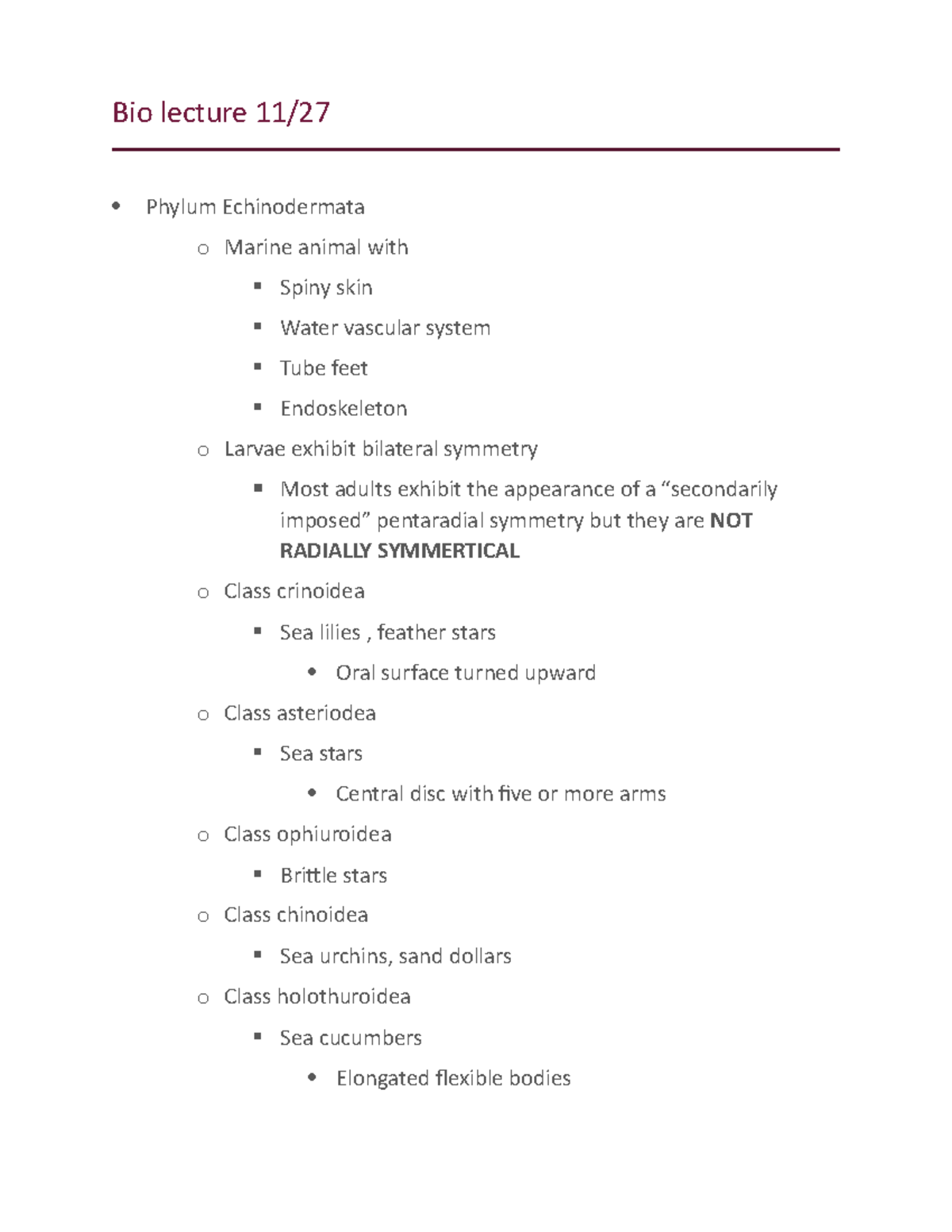 Bio lecture 11 - PHYLUM - Bio lecture 11/27 Phylum Echinodermata o ...