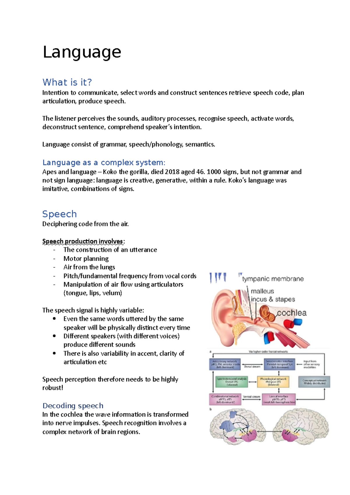 Language 7th dec - lecture notes from a first year student about a ...