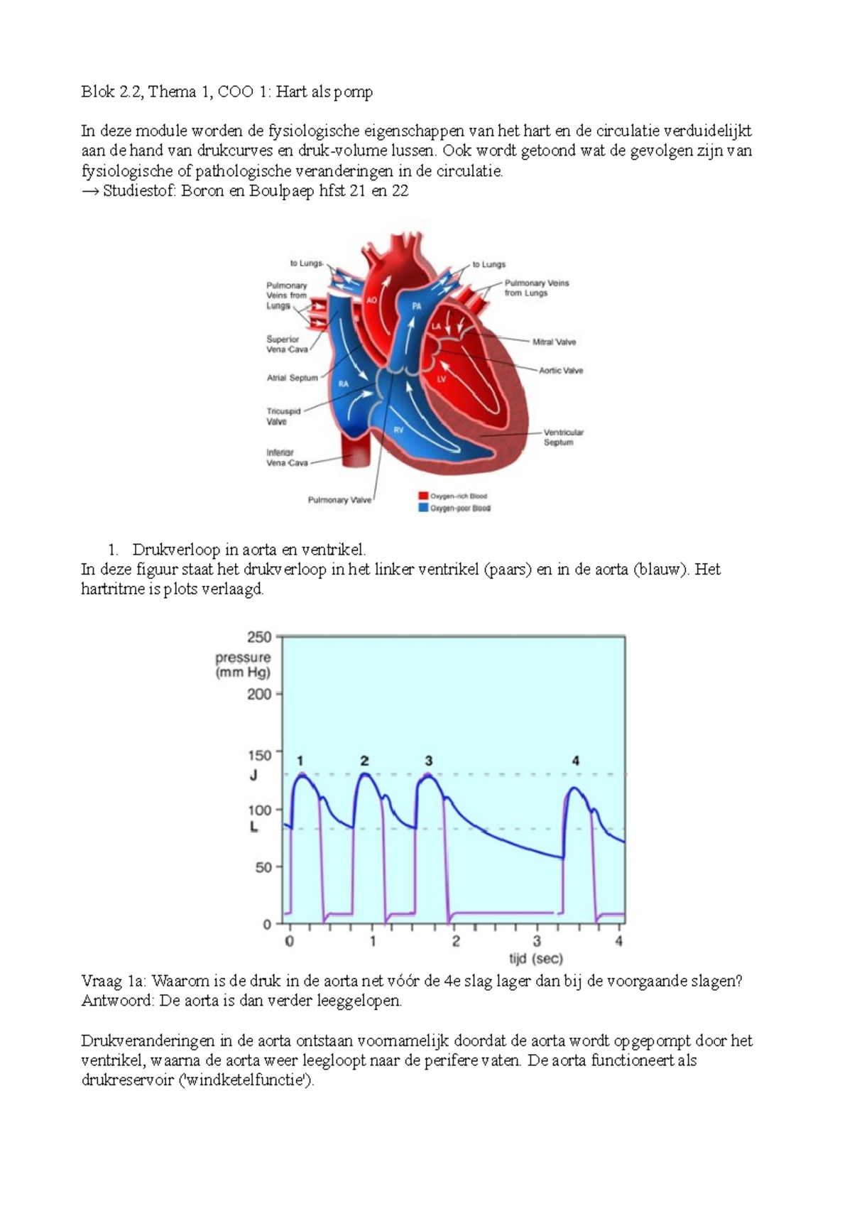 Thema 1, COO Hart als pomp - Blok 2, Thema 1, COO 1: Hart als pomp In ...