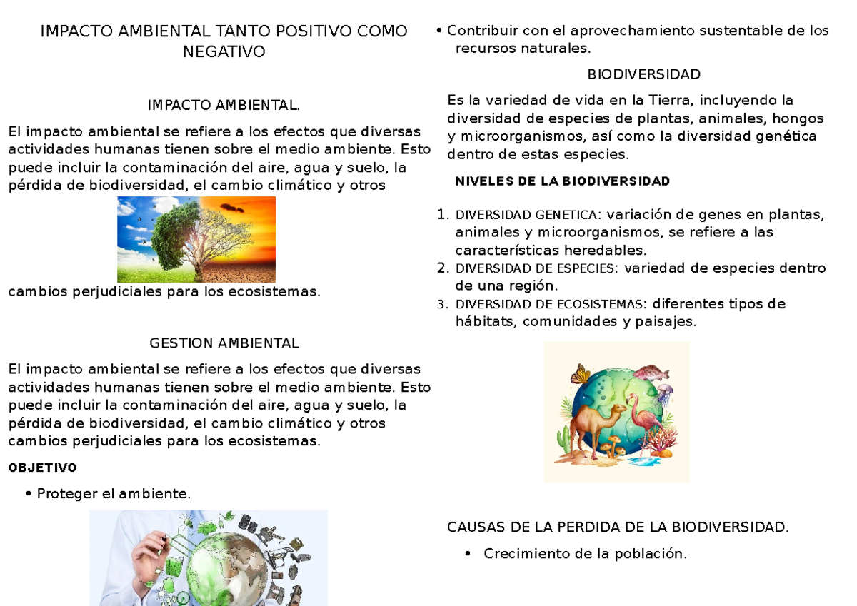 Impacto Ambiental Tanto Positivo COMO Negativo - IMPACTO AMBIENTAL ...