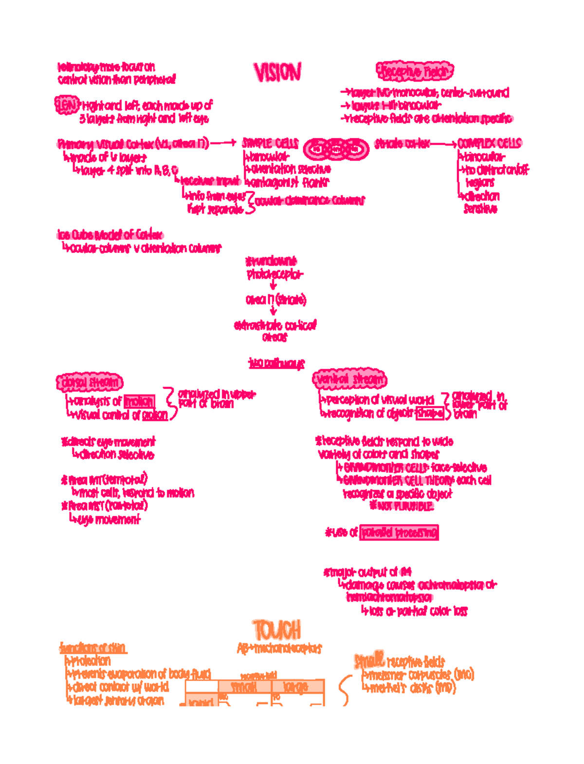 Test 3 Bio Lecture Notes/Study Guide - BIO 302 - UKY - Studocu