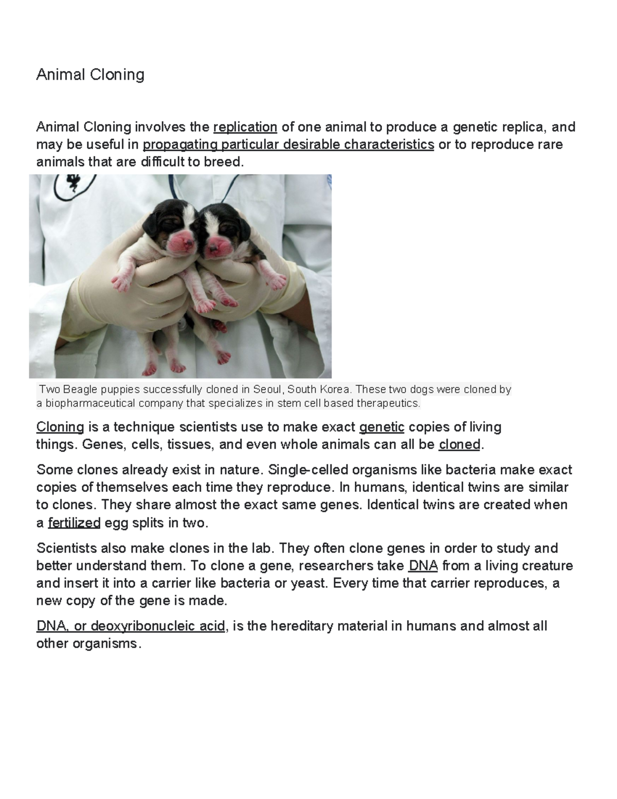 Animal Cloning - Dolly - Animal Cloning Animal Cloning involves the ...