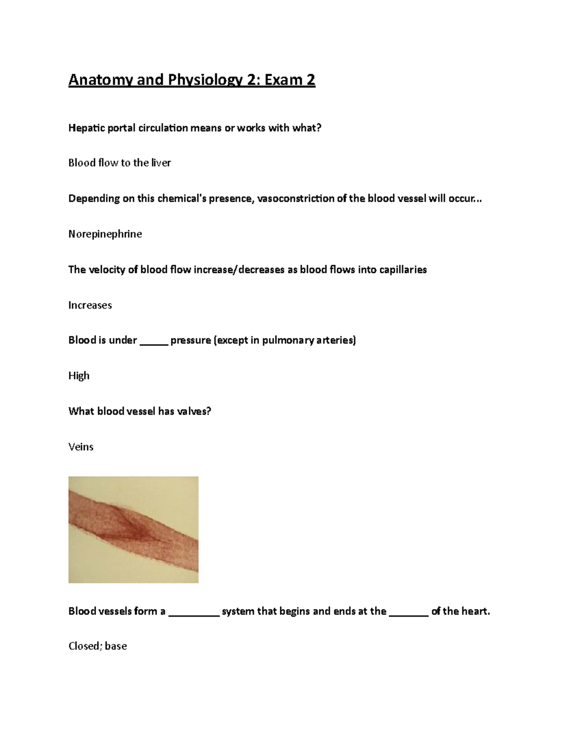 anatomy-and-physiology-2-exam-2-continued-anatomy-and-physiology-2