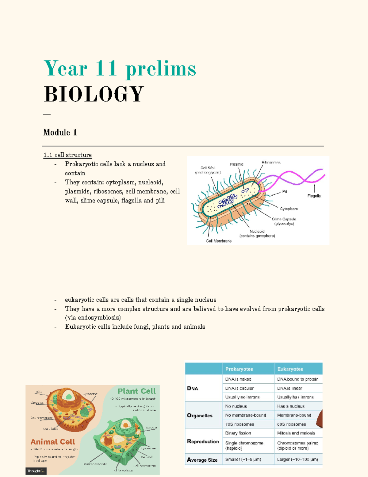 Class notes - Year 11 prelims BIOLOGY ___ Module 1 1 cell structure ...