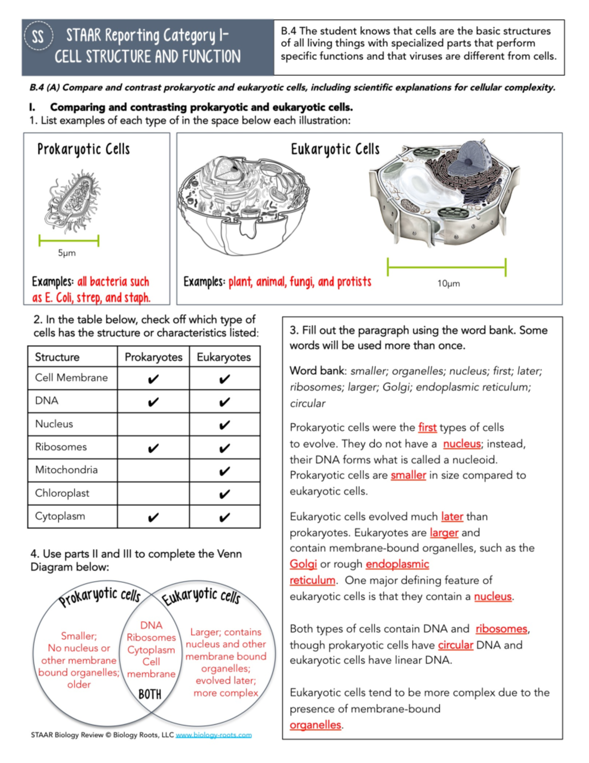 Staar Biology Review Category 1 KEY - Thank you so much for supporting ...