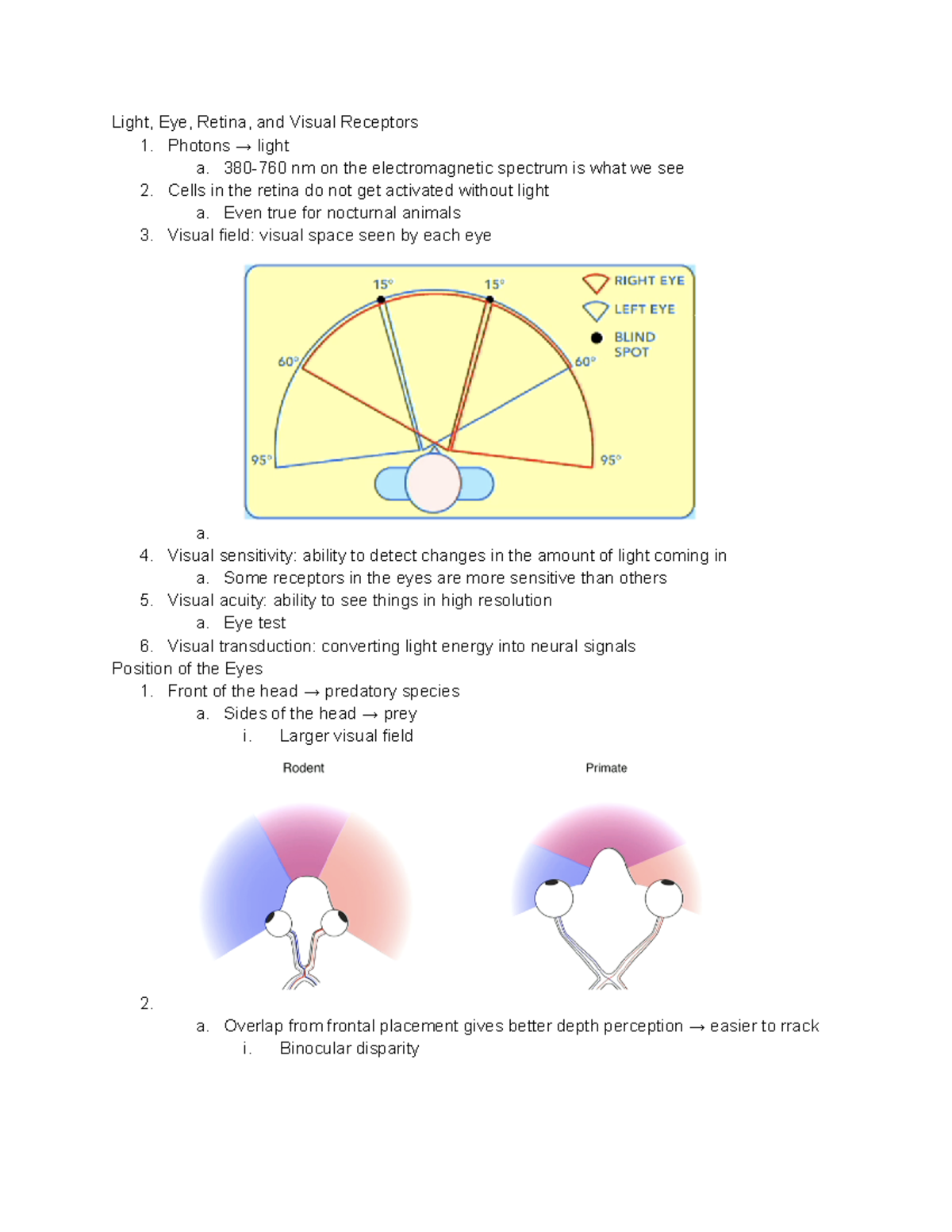 L1 - Lecture notes 1 - Light, Eye, Retina, and Visual Receptors 1 ...