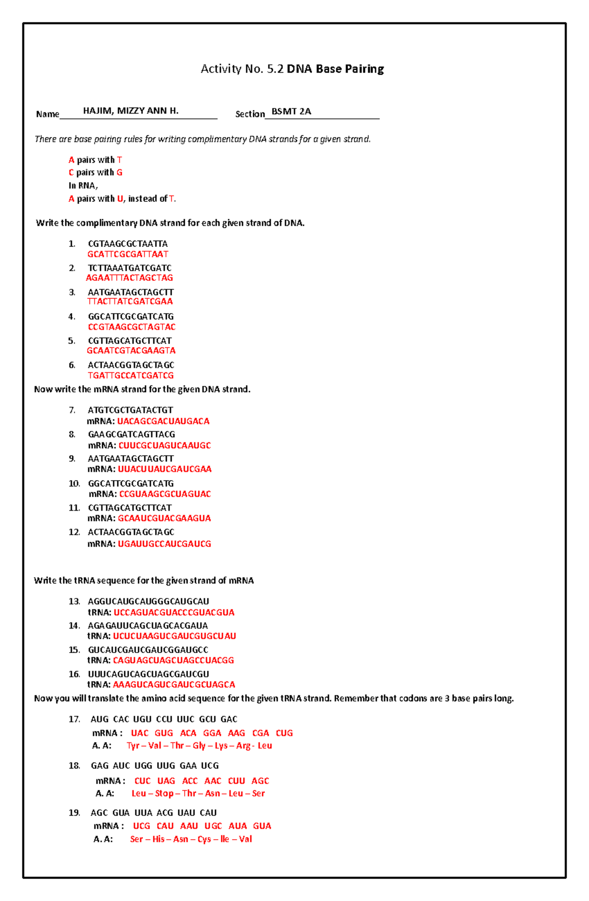 Activity no. 5.2 DNA Base Pairing activity - Activity No. 5 DNA Base ...