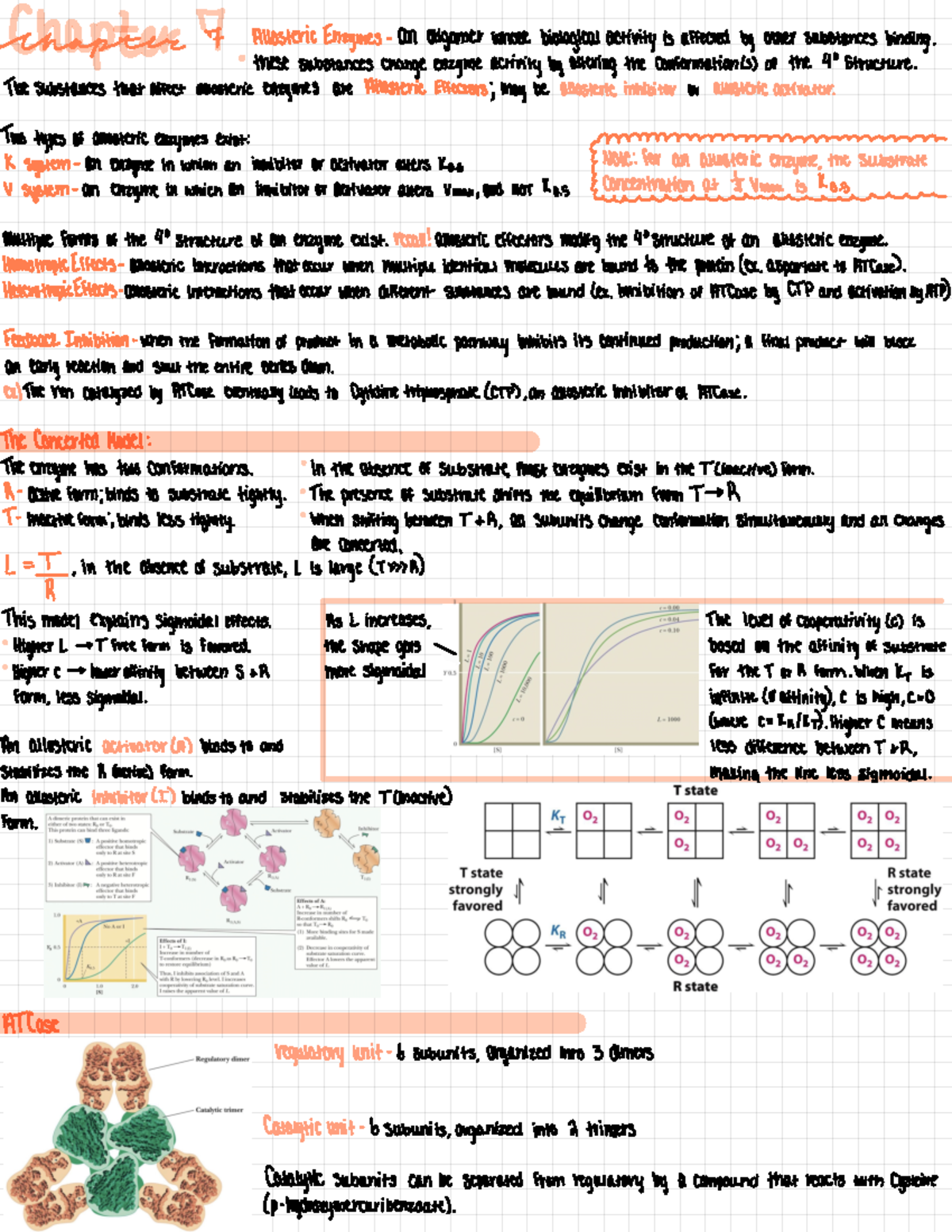 Chapter 7 biochemistry - chapter 7 Allosteric Enzymes An oligomer whose ...