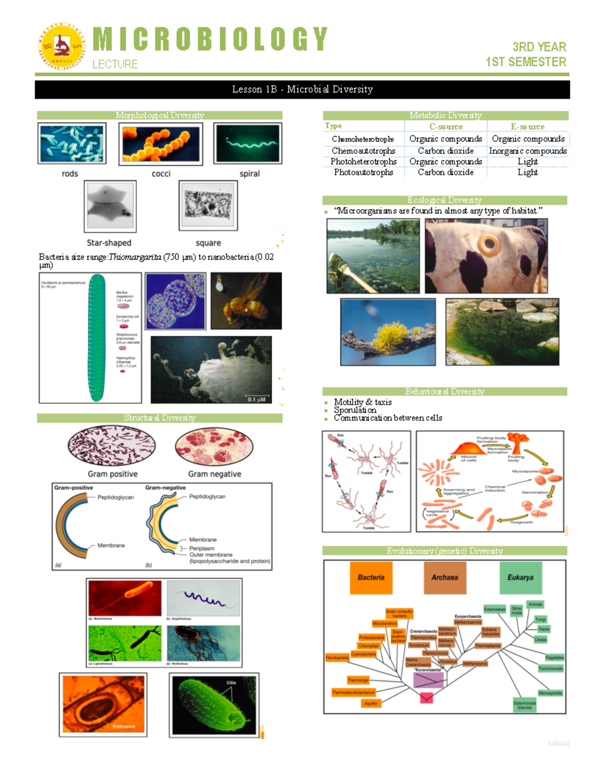 L1B. Microbial Diversity - M I C R O B I O L O G Y LECTURE 3RD YEAR 1ST ...