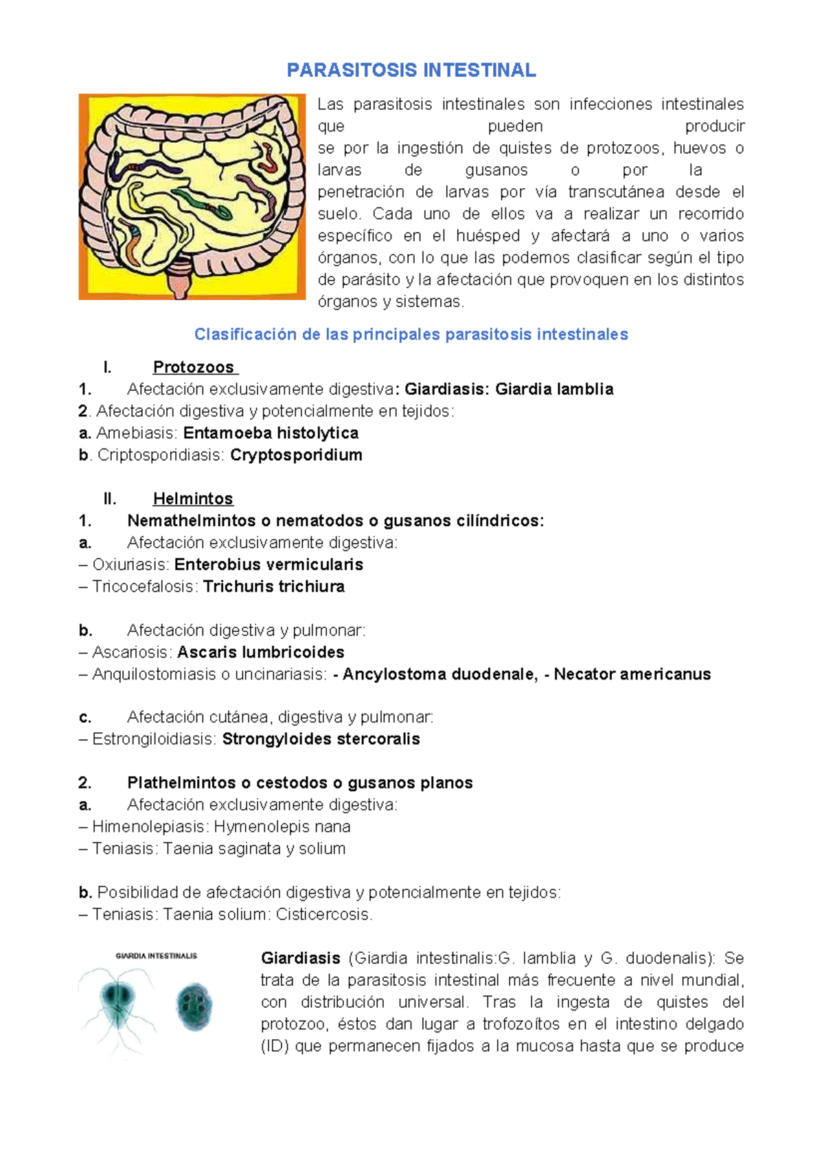 Parasitosis Intestinal - PARASITOSIS INTESTINAL Las parasitosis ...