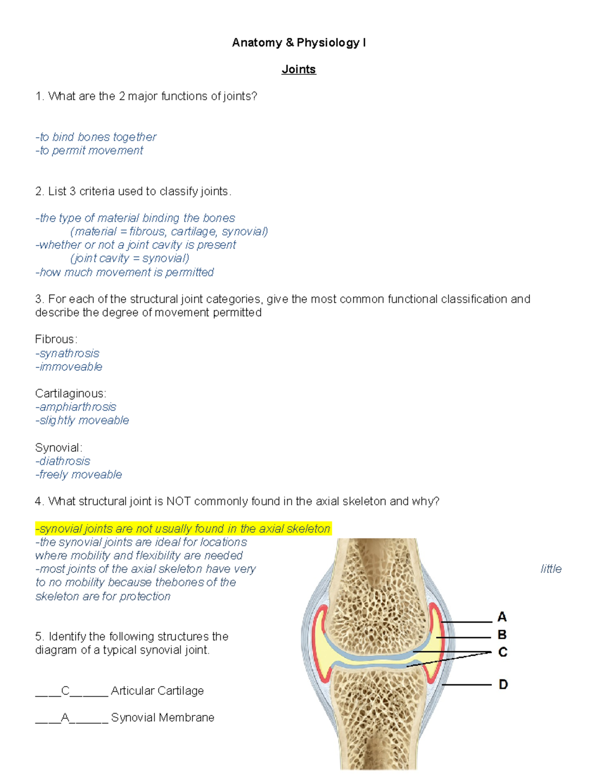 Week 7 Lab - Joints - teacher: Professor Patterson - Anatomy ...