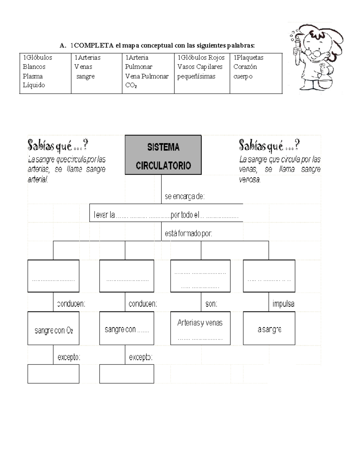 Sistema circulatorio - Biología - A. 1 COMPLETA el mapa conceptual con ...