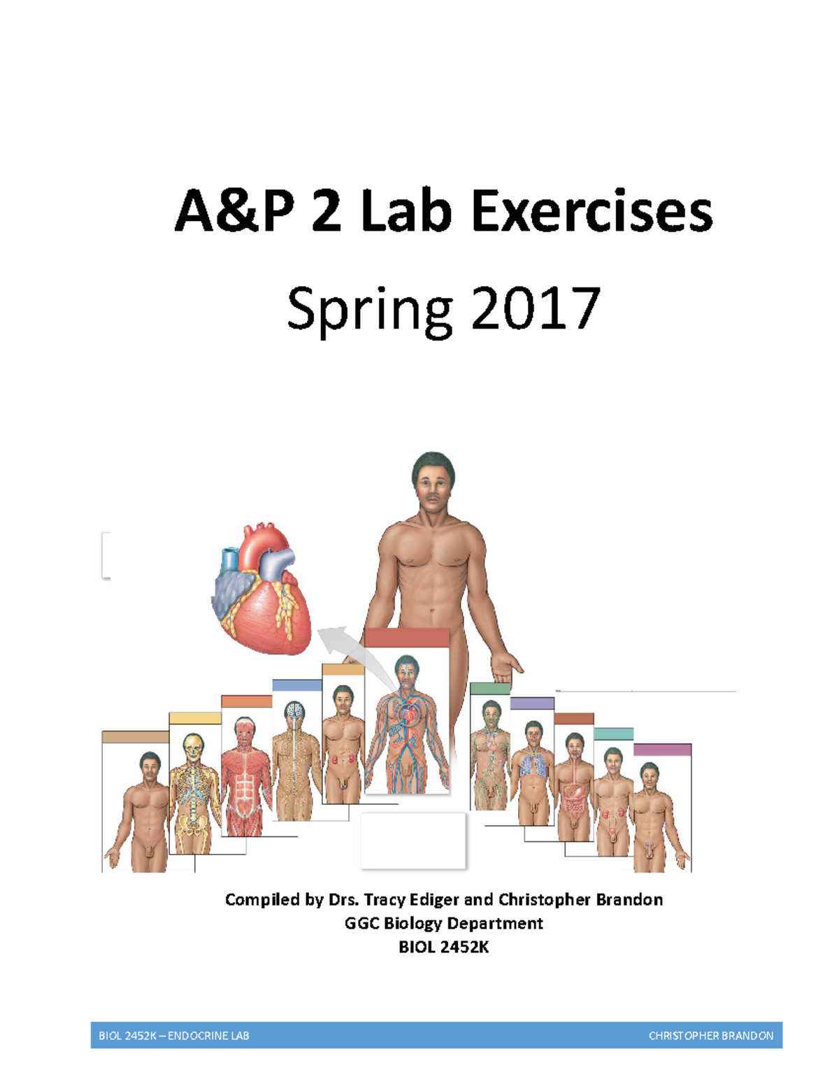 01.Endocrine Lab - notes - A&P 2 Lab Exercises Spring 2017 Compiled by ...