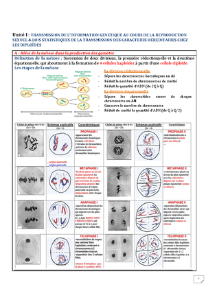La region sous hyoidienne - La région Sous hyoïdienne Pr. Y. ROCHDI Pr ...