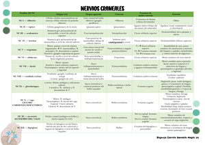 Puntos craneométricos - Puntos craneométricos Vista inferior Opistión ...
