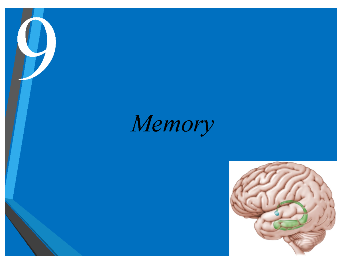 Po P1e Ch09 Lecture - Memory 9 9 Introduction All the distinctively human aspects of our ...