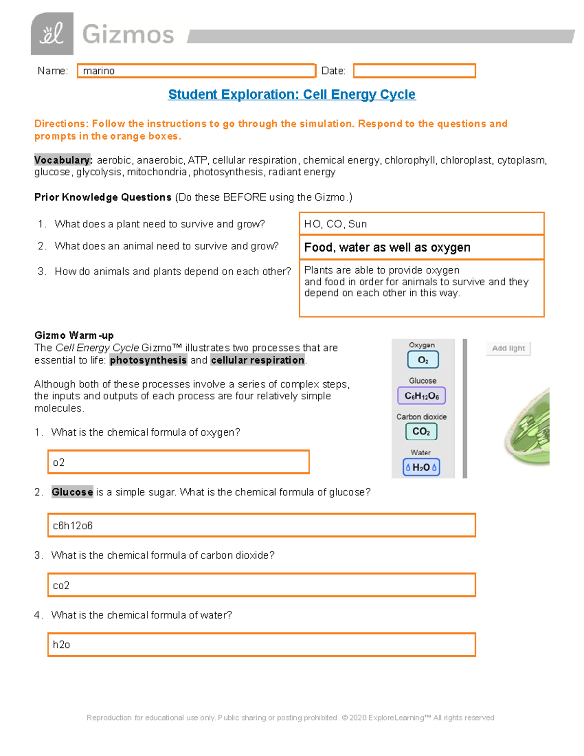 Marino Yozzi - Cell Energy Gizmos - 9911446 - Name: marino Date ...