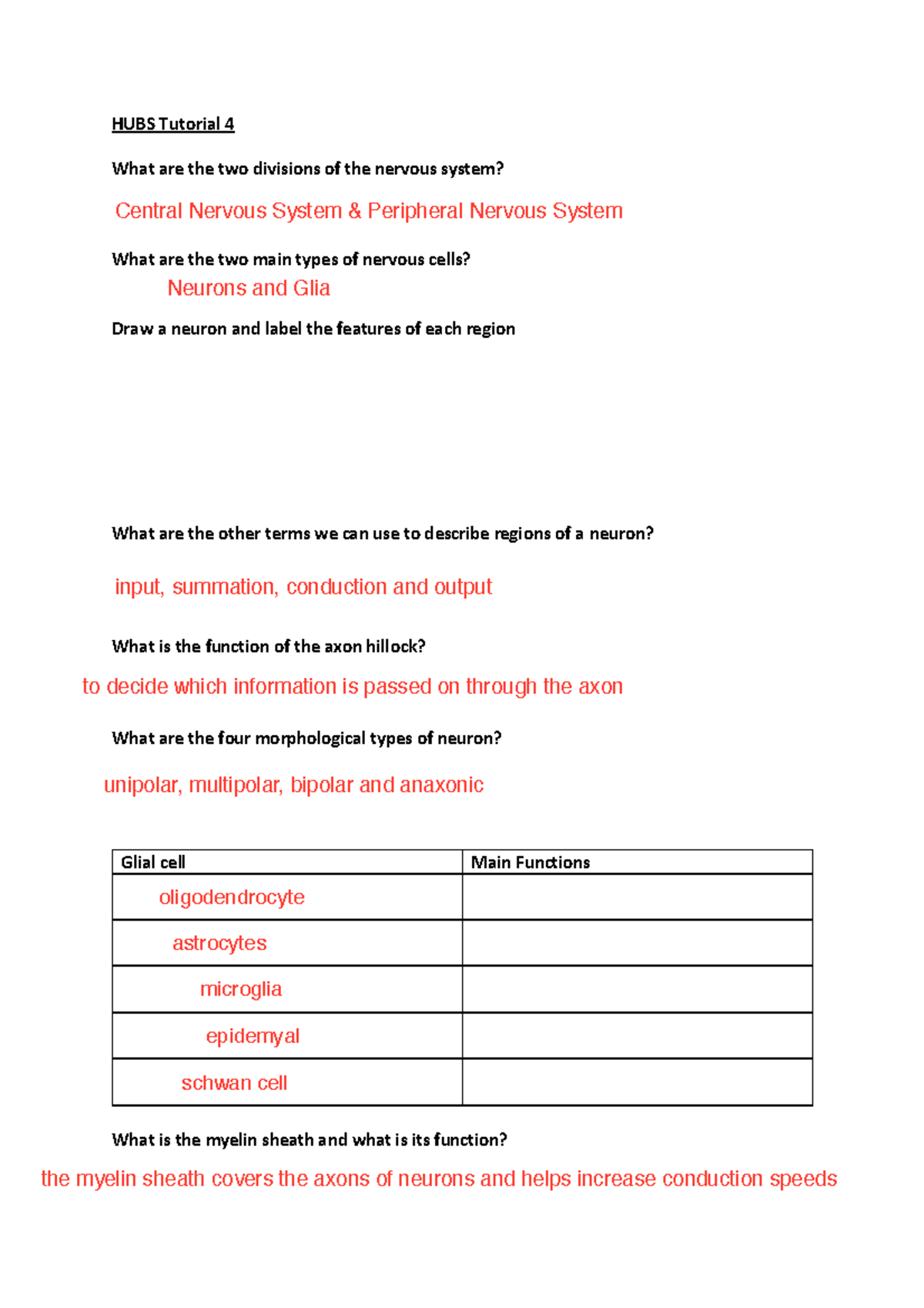 HUBS191 T4 2019 Questions - Warning: TT: undefined function: 32 Warning: Unimplemented ...