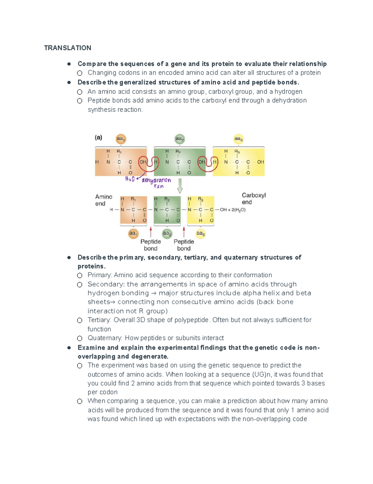 BIO310 Translation - TRANSLATION Compare the sequences of a gene and ...