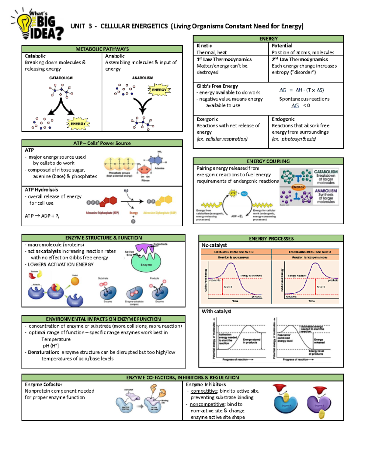 Bigideaunit 3Cell Ener - UNIT 3 - CELLULAR ENERGETICS (Living Organisms ...