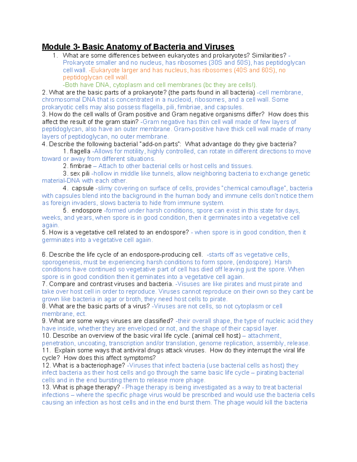 3 Basic Anatomy - 31231 - Module 3- Basic Anatomy of Bacteria and ...
