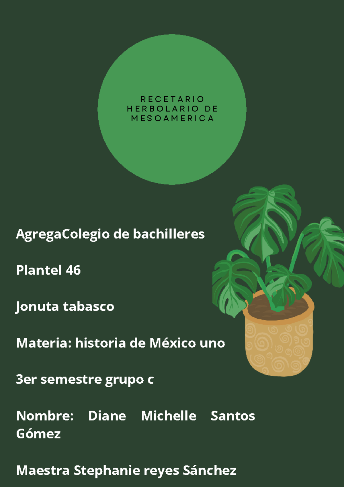 Recetario herbolario 3C - R E C E T A R I O H E R B O L A R I O D E M E ...