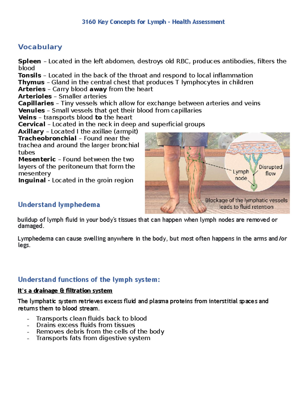 health assessment - Vocabulary Spleen – Located in the left abdomen ...