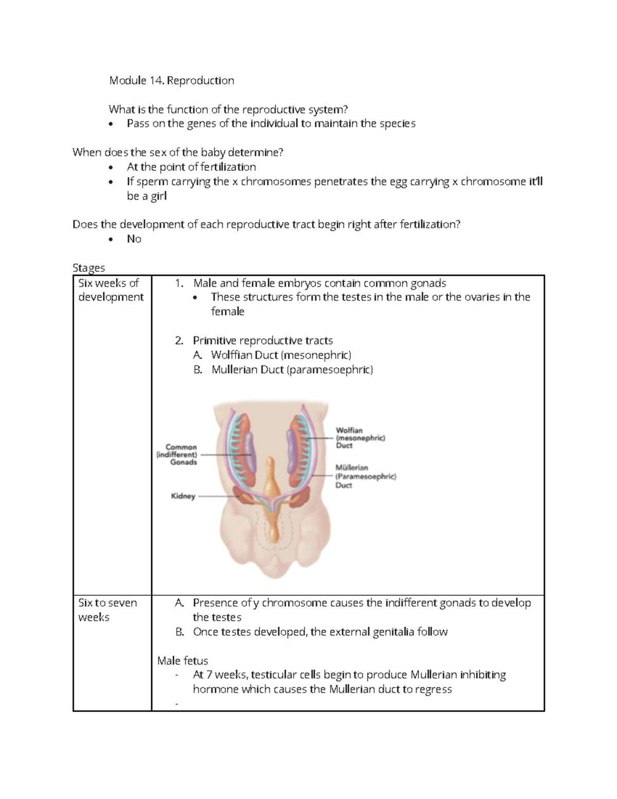 Module 14 Reproductive System - Module 14. Reproduction What is the ...