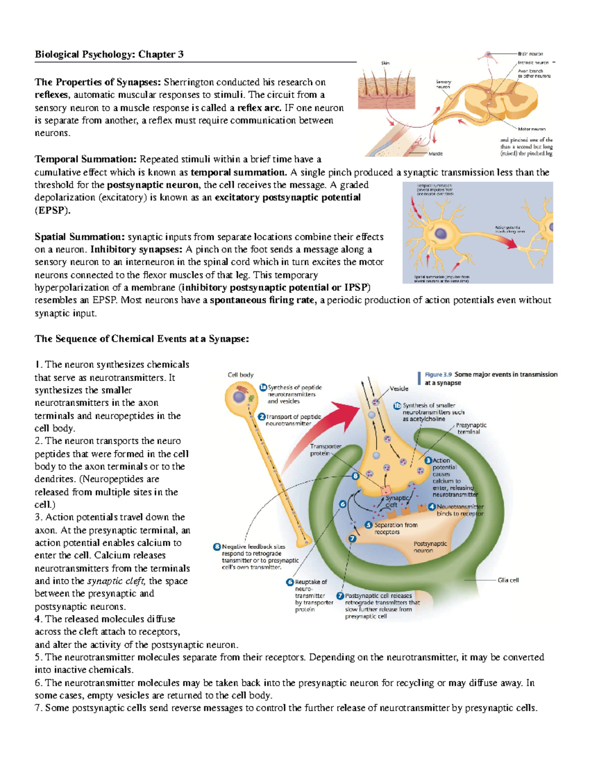 Bio Psyc Chapter 3 - Biological Psychology: Chapter 3 The Properties of ...