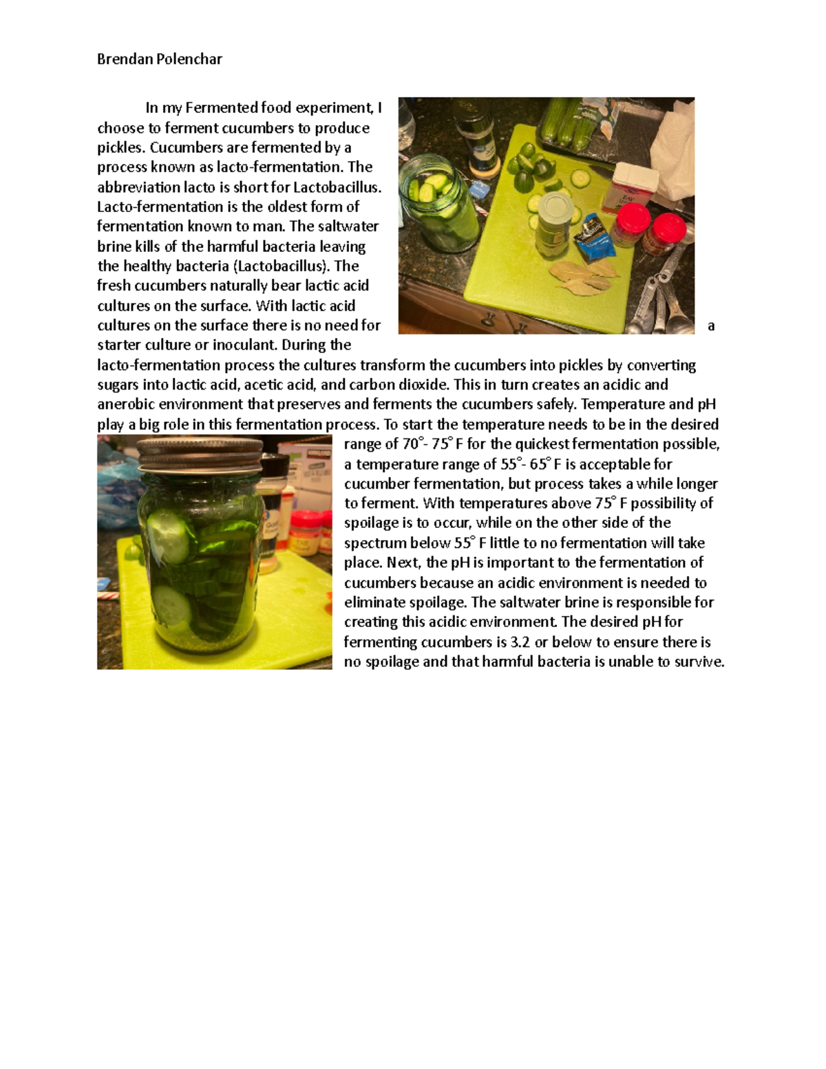 Fermented - This is example of fermentation at home experiment done in ...