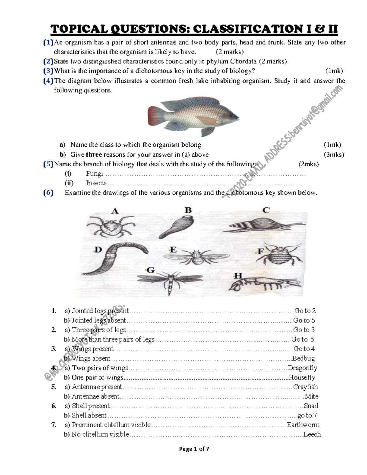 F3- Chapter 1- Classification I AND II- Topical Questions - TOPICAL ...