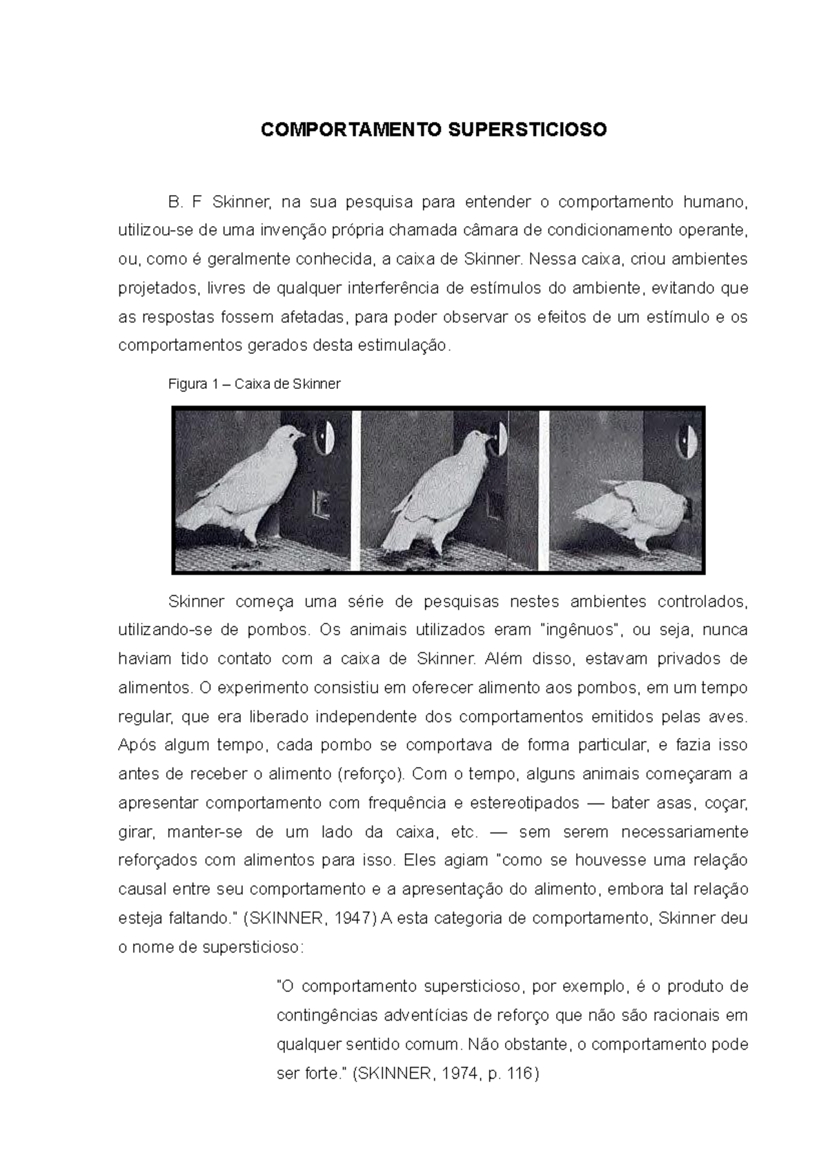 Comportamento Supersticioso - COMPORTAMENTO SUPERSTICIOSO B. F Skinner ...