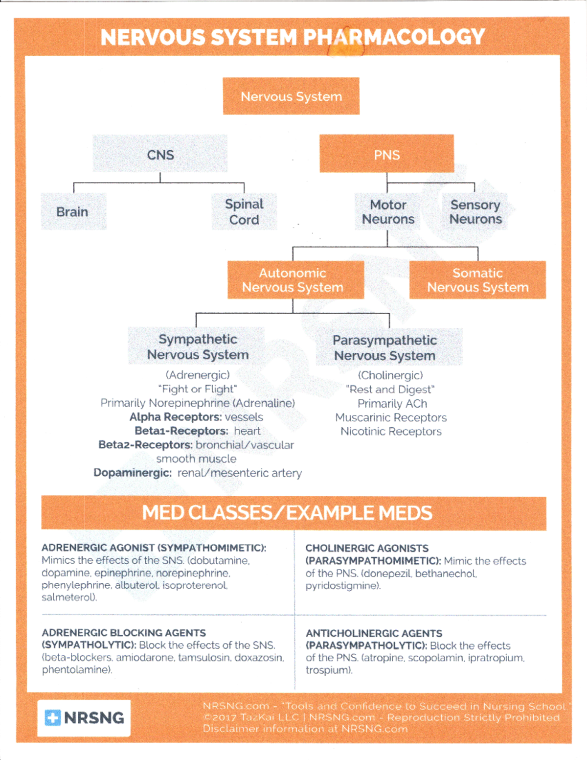 Nervous System Pharmacology - NGR 6156 - Studocu