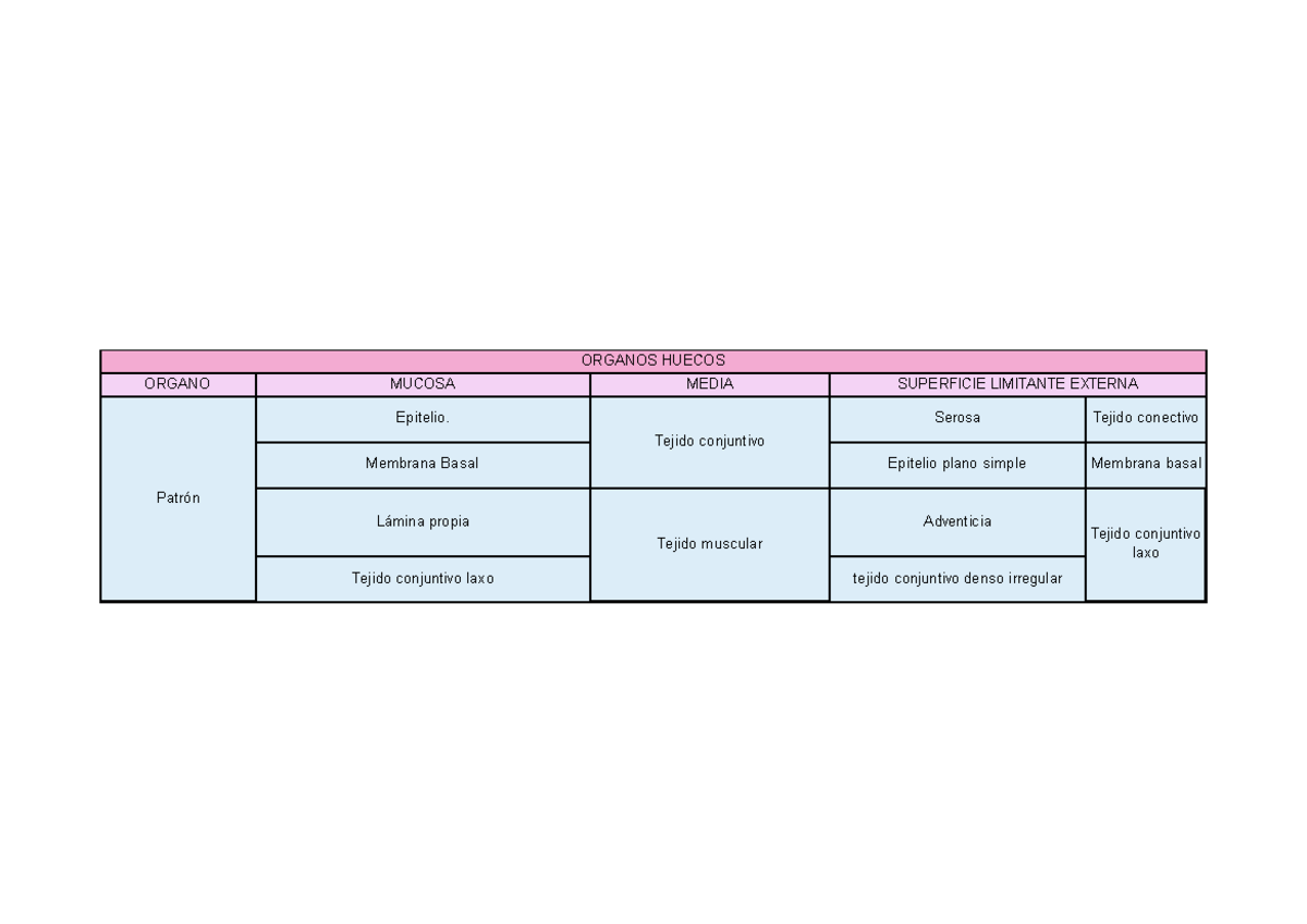 Organografia - Mapa con la organigrafia histologica de cada sistema y ...