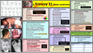 Practice+04 - ..... - 9 4 C H A P T E R 3 E Q U I L I B R I U M O F A ...