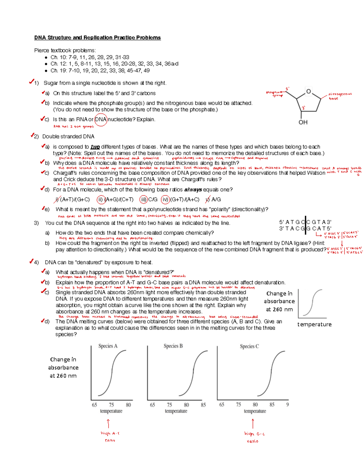 DNA Structure and Replication Problems - DNA Structure and Replication ...