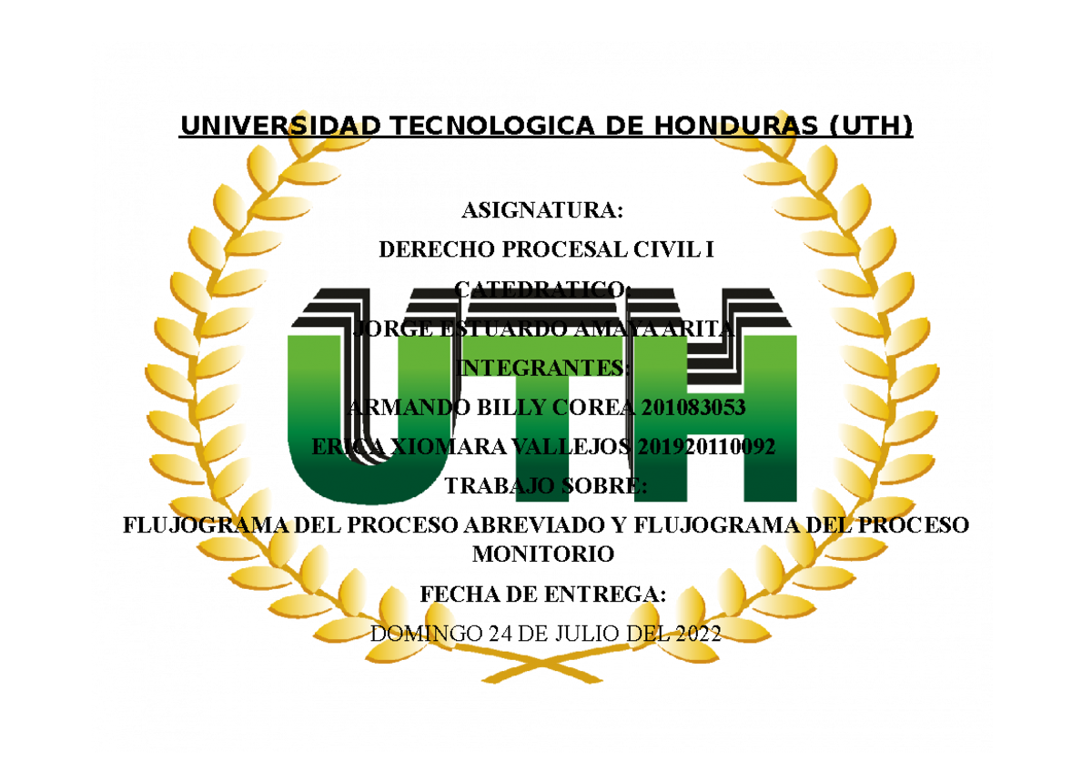 Flujo DEL Proceso Abreviado Y Monitorio. Final - UNIVERSIDAD ...