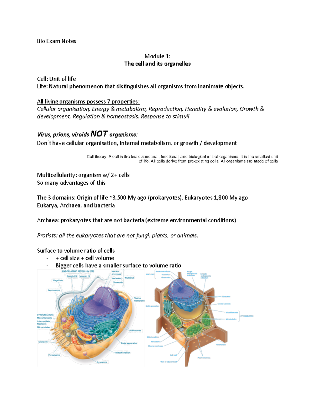 Bio Exam Notes 1140 - Bio Exam Notes Module 1: The cell and its ...