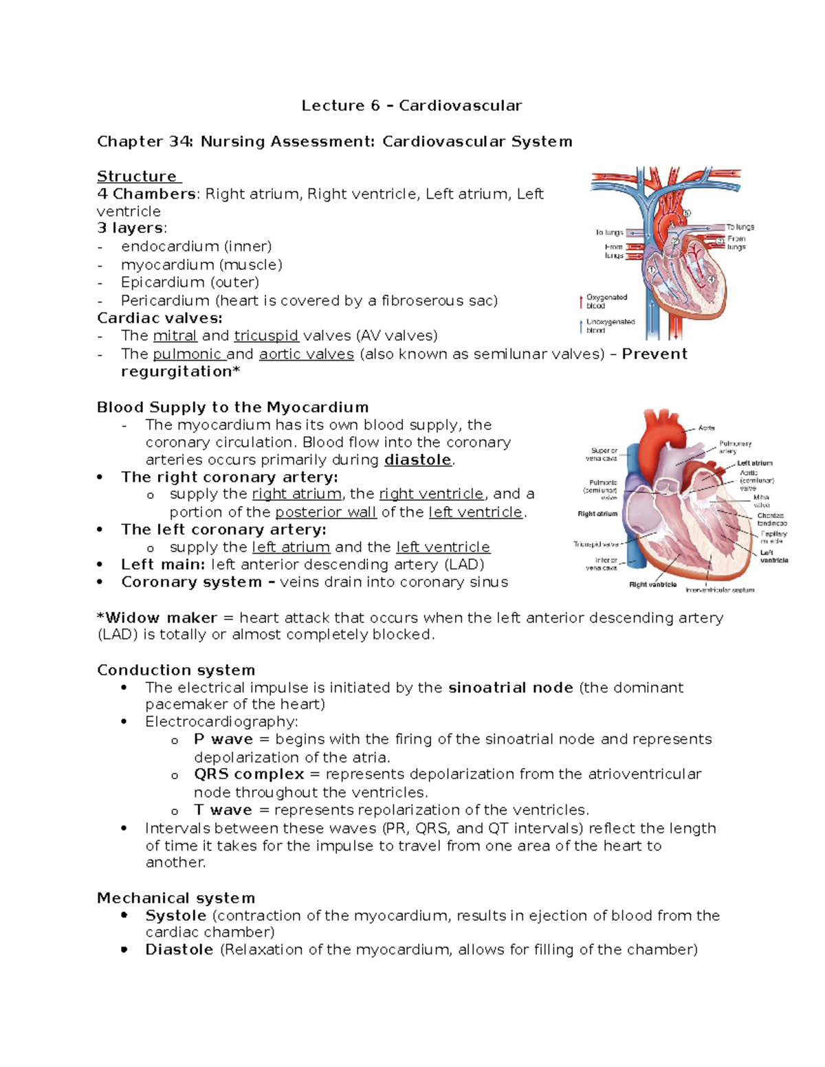 Lecture 6 - cardiovascular - Lecture 6 – Cardiovascular Chapter 34 ...