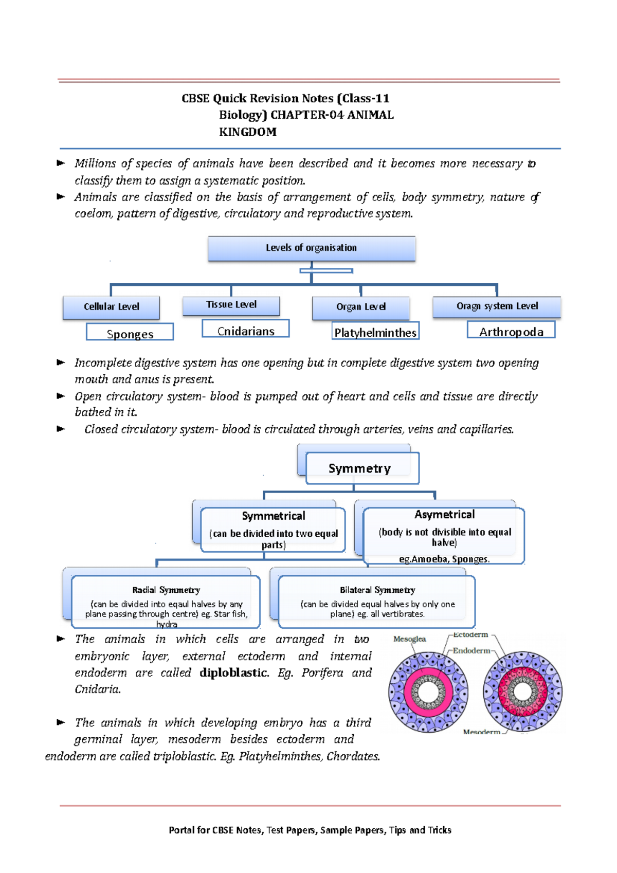 11 biology notes ch04 animal kingdom - Levels of organisation Cellular ...