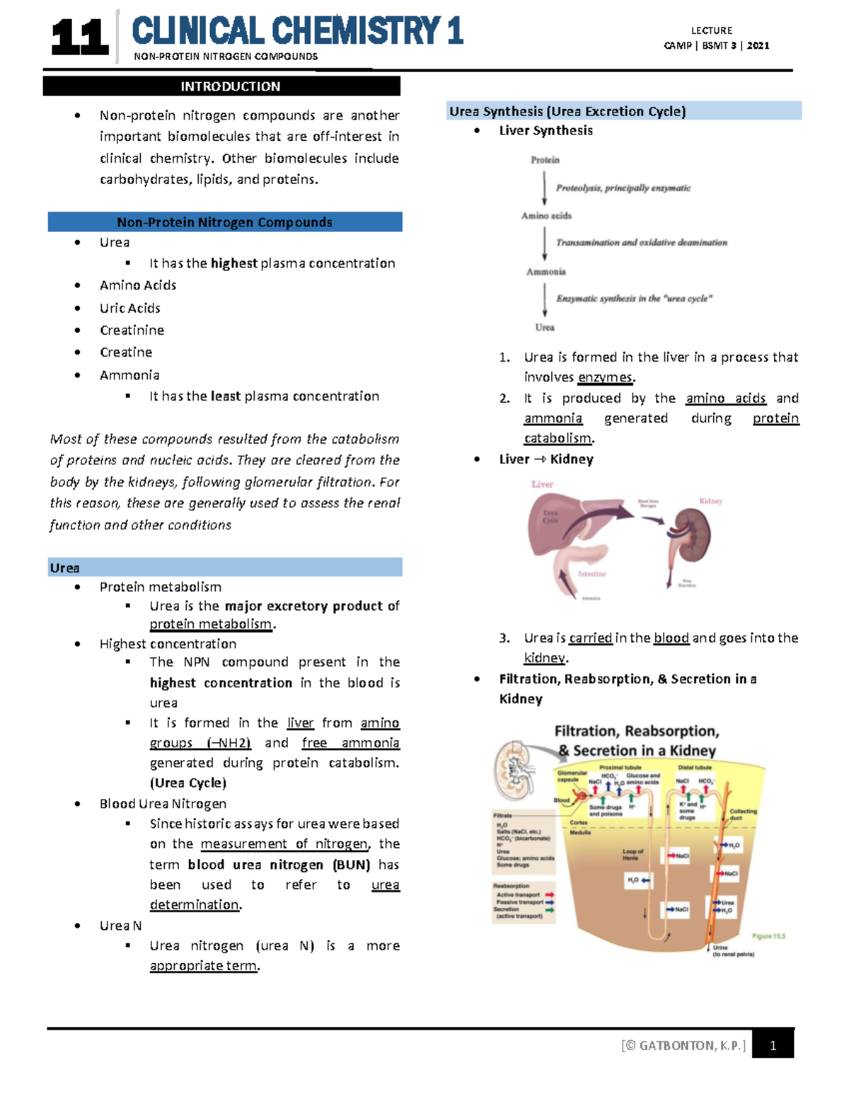 Clin Chem Lecture - 11 NON-PROTEIN NITROGEN COMPOUNDS CLINICAL ...