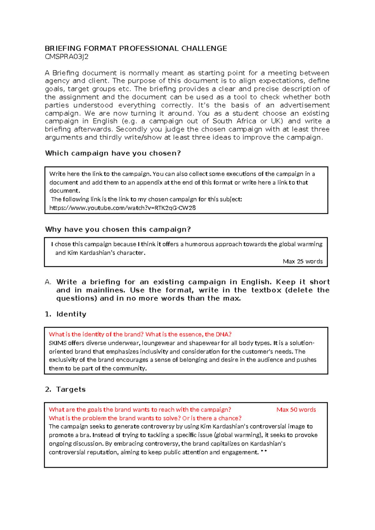 Cel 3Format Briefing Campaign - BRIEFING FORMAT PROFESSIONAL CHALLENGE ...