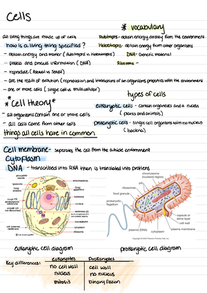 Nerous System Lab 08 - ©eScience Labs, 2016 The Nervous System ...