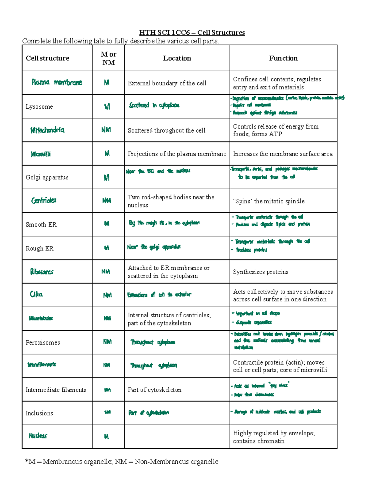 Organelles chart - HTH SCI 1CC6 – Cell Structures Complete the ...