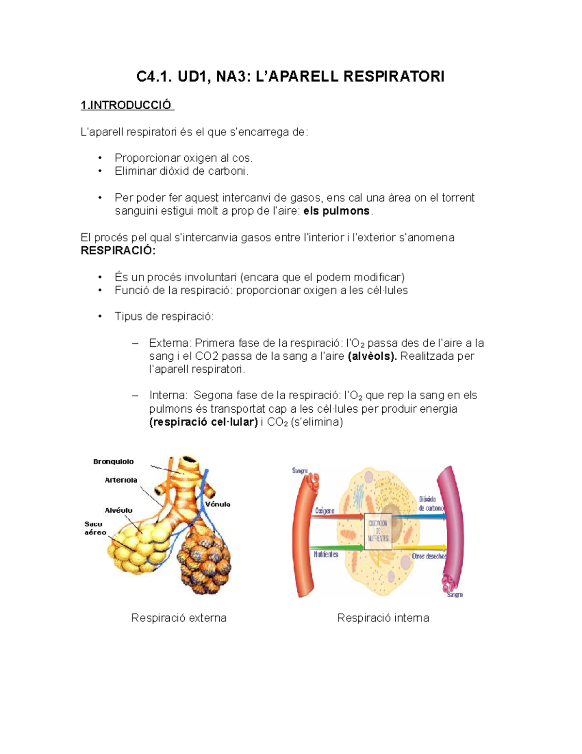 UD1 NA3 Respiratori - APUNTS D'ANATOMIA I FISIOLOGIA - C4. UD1, NA3: L’APARELL RESPIRATORI 1Ó ...
