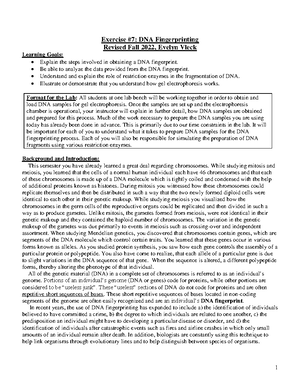 Lab worksheet#2- Biomolecules Chemical Composition - HO H HO H H2O HO H ...