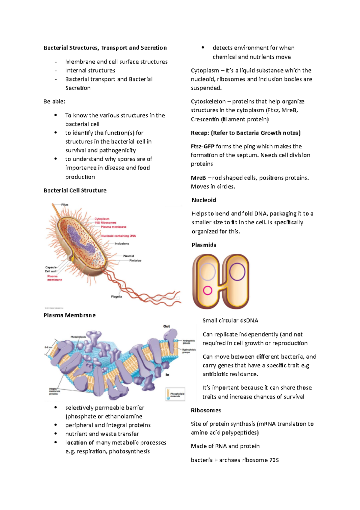 Bacterial Structures, Transport and Secretion - Bacterial Structures ...