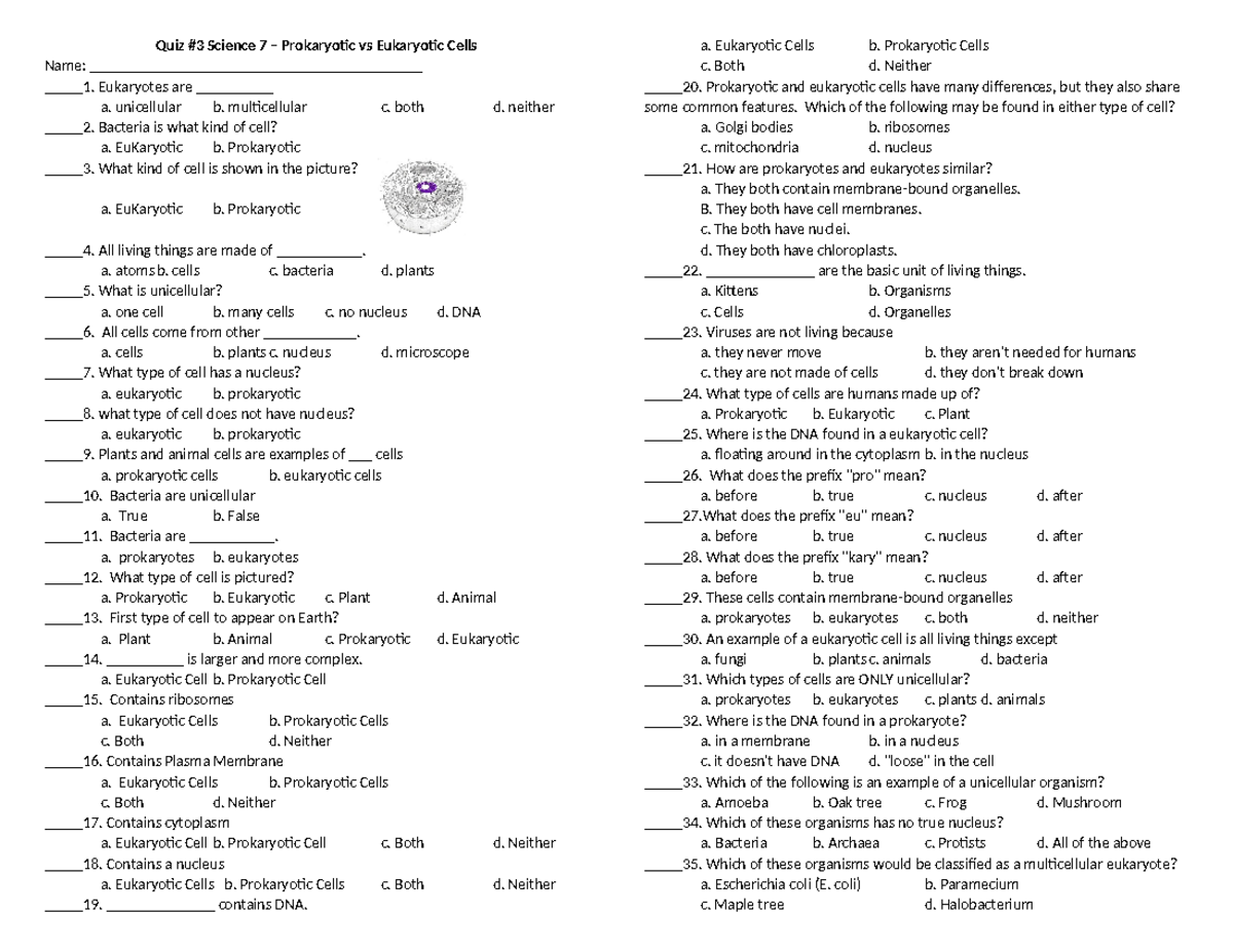 Prokaryotic & Eukaryotic Cells Quizizz - Quiz #3 Science 7 ...