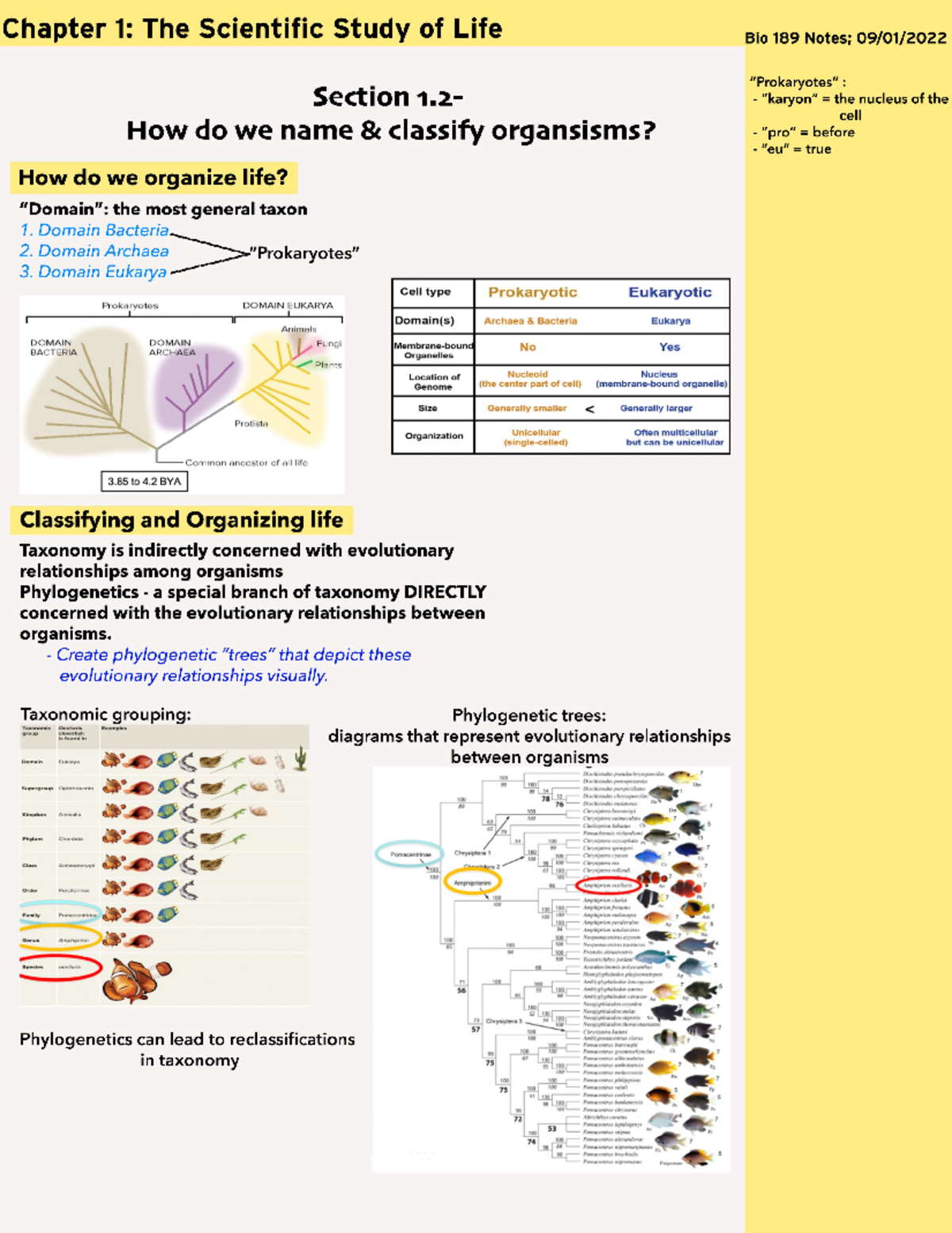 Chapter 1.2 pg 3/9 - Chapter 1: The Scientific Study of Life Bio 189 ...