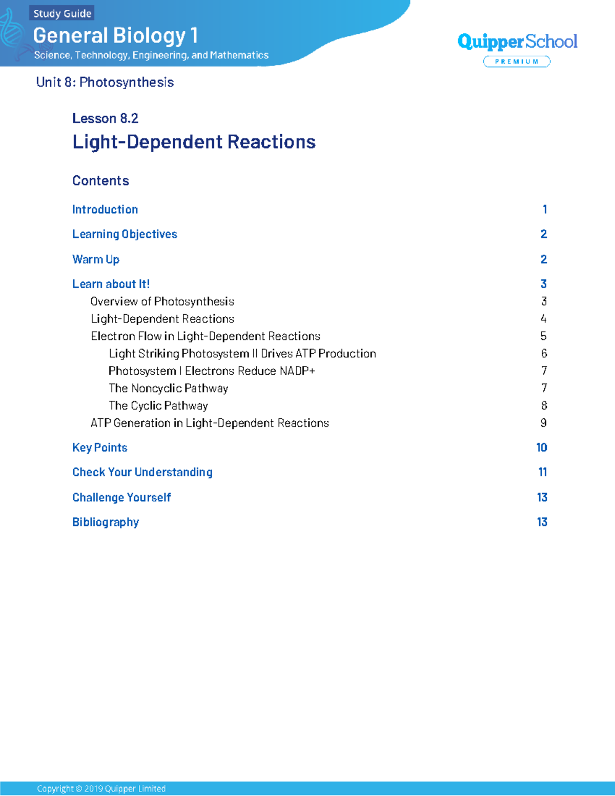 Light- Dependent- Photosynthesis - Light-Dependent Reactions Lesson 8 ...